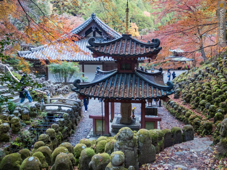 Cosa vedere a Kyoto in 3 o 4 giorni: itinerario e consigli di viaggio